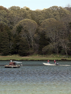 Harmful Algae : Red Tide