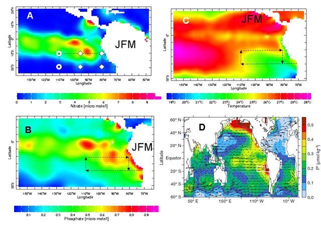 CruisePlanner : Documenting N2 FIxation