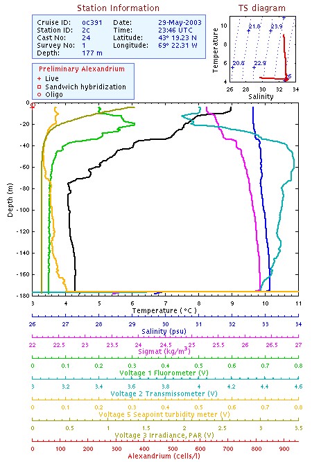 CTD Individual Station Plots