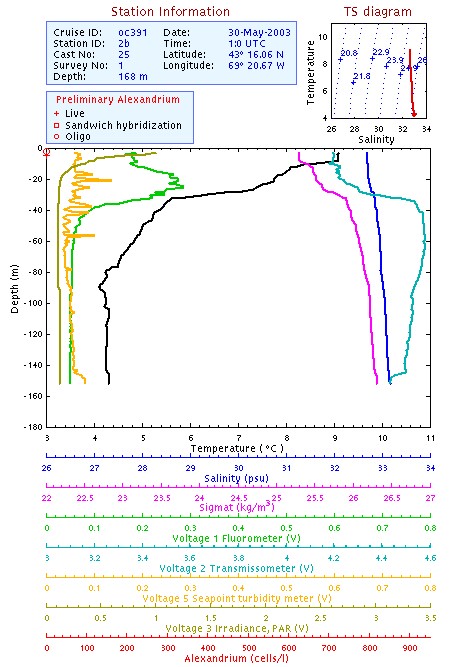 CTD Individual Station Plots