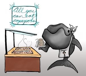 The Great South Channel – Woods Hole Oceanographic Institution