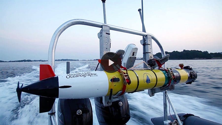 TurtleCam – Woods Hole Oceanographic Institution