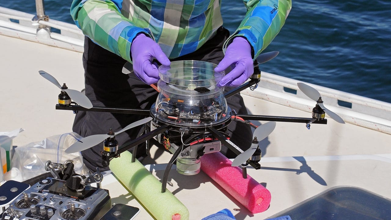 Endangered Whales Get a High-Tech Check-Up - Woods Hole Oceanographic ...