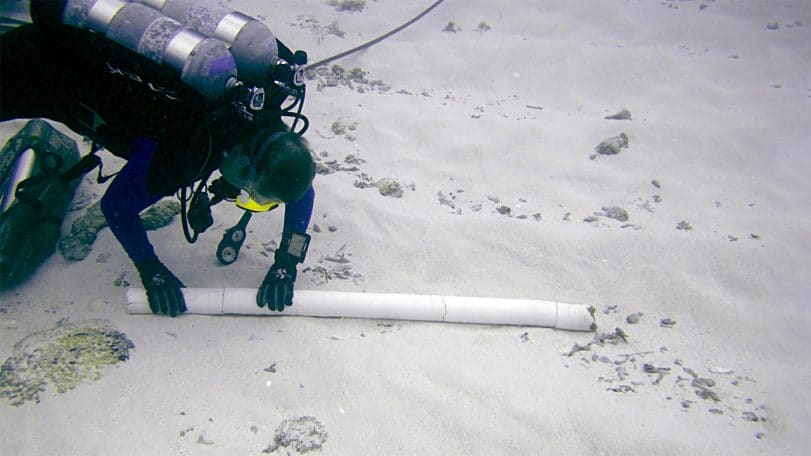 Coral Coring – Woods Hole Oceanographic Institution