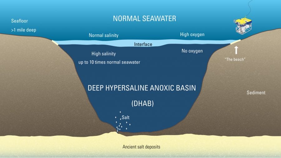 Oxygen Dead Zones – Woods Hole Oceanographic Institution