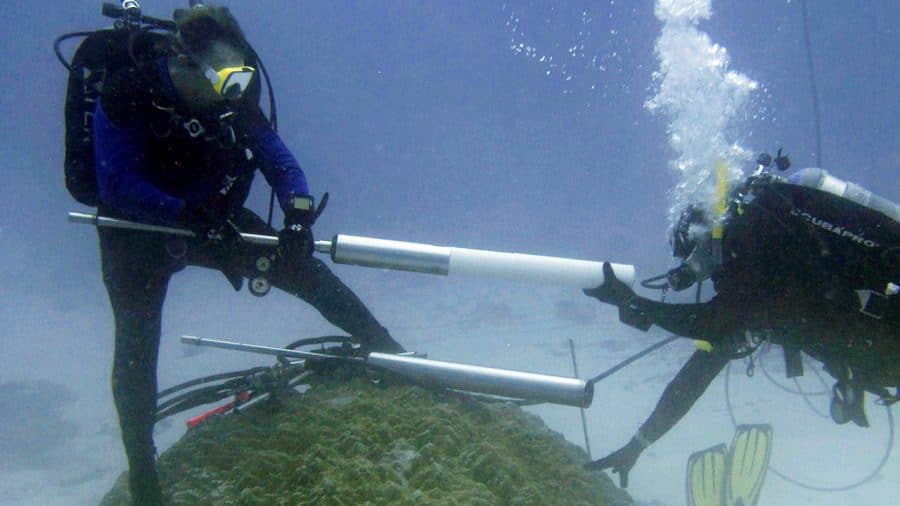 Coral Coring – Woods Hole Oceanographic Institution