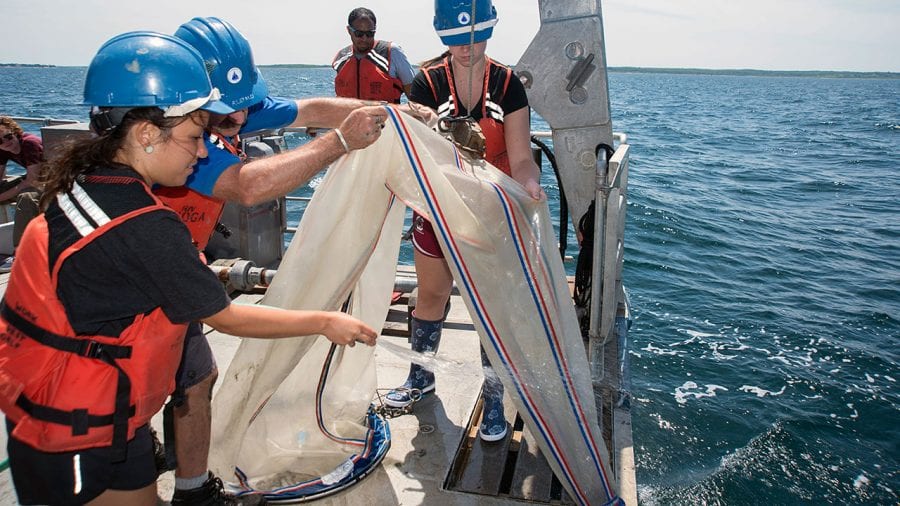 Net Returns – Woods Hole Oceanographic Institution