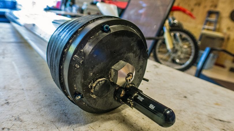 Big Fish Bite? – Woods Hole Oceanographic Institution