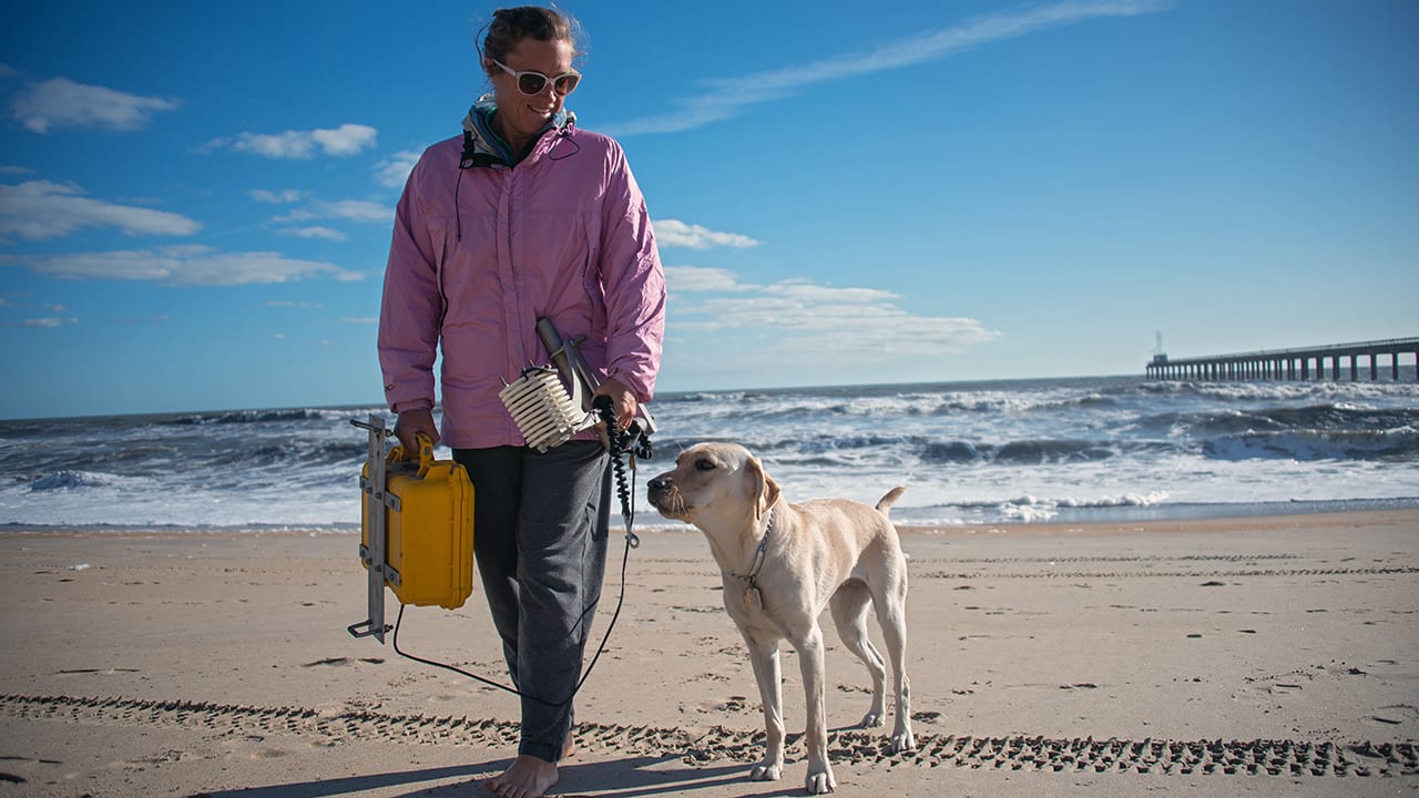 Applied Ocean Physics & Engineering - Woods Hole Oceanographic Institution