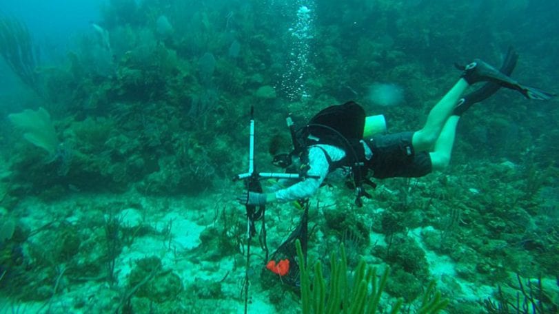 How Do Fish Find Their Way? – Woods Hole Oceanographic Institution