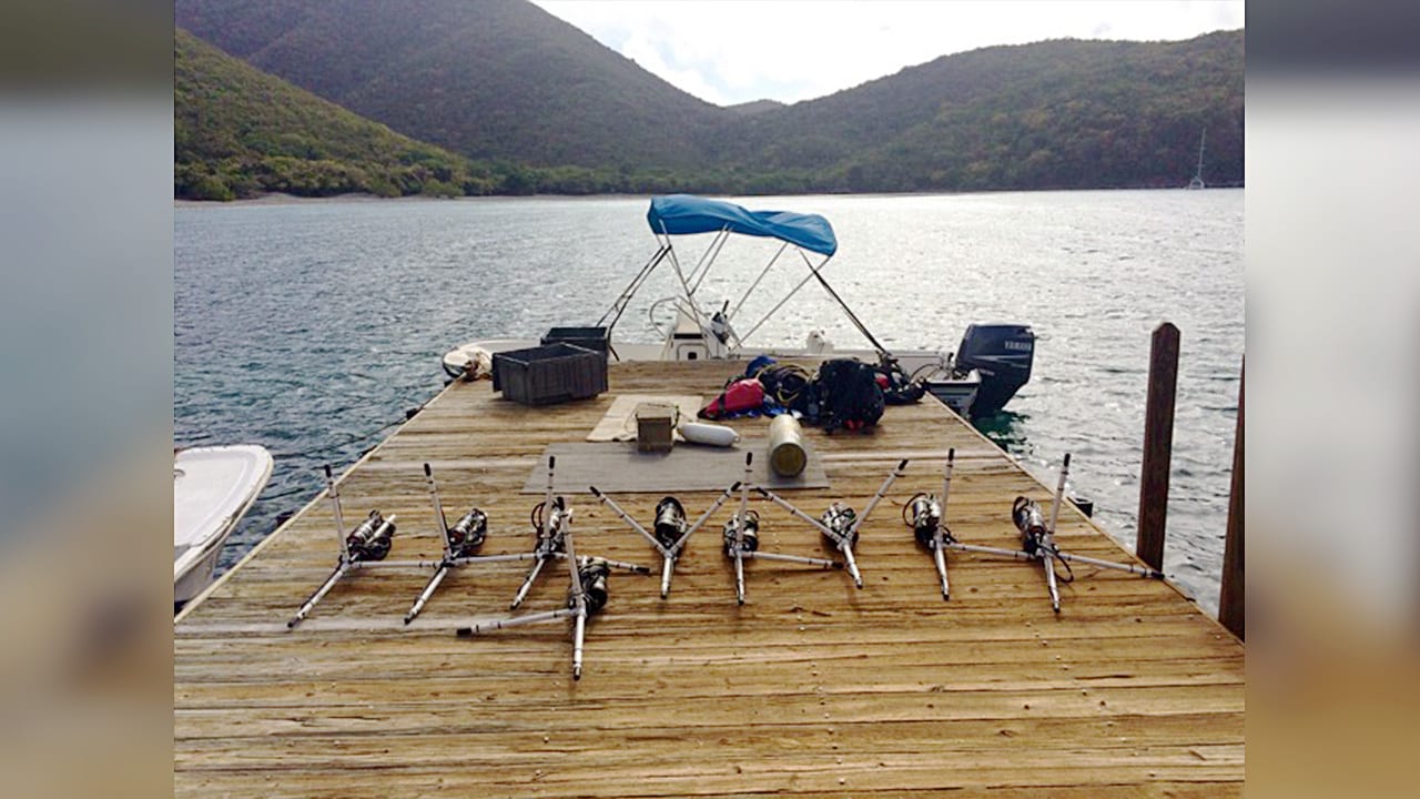 How Do Fish Find Their Way? – Woods Hole Oceanographic Institution