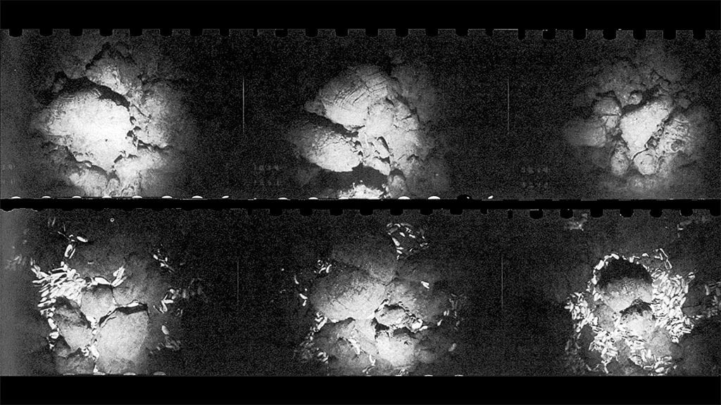 The Discovery of Hydrothermal Vents – Woods Hole Oceanographic Institution