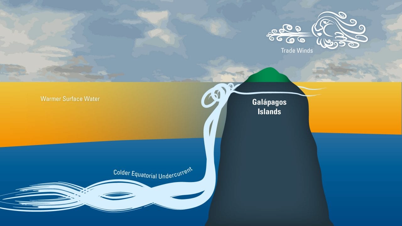 The Current that Feeds the Galápagos – Woods Hole Oceanographic Institution