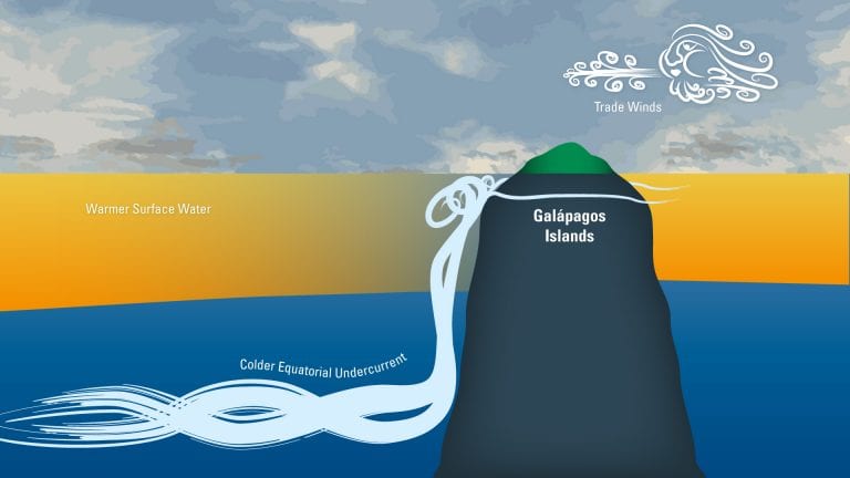 The Current that Feeds the Galápagos – Woods Hole Oceanographic Institution