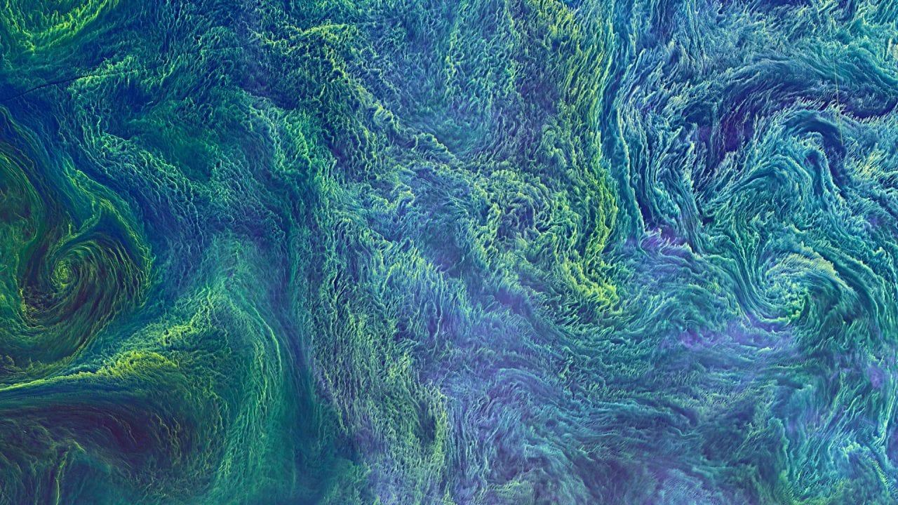 Carbon Cycle – Woods Hole Oceanographic Institution