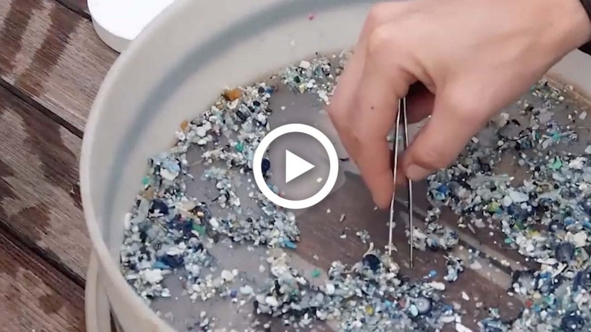 Microplastics in the Ocean - Woods Hole Oceanographic Institution