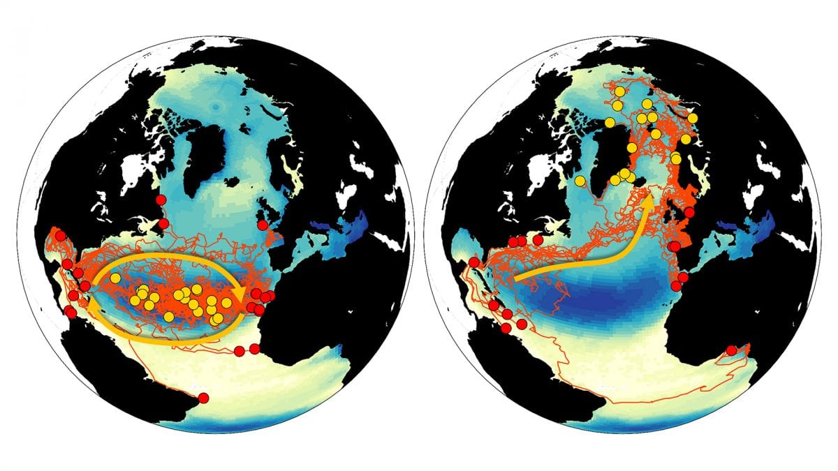 Tracking a Snow Globe of Microplastics - Woods Hole Oceanographic ...