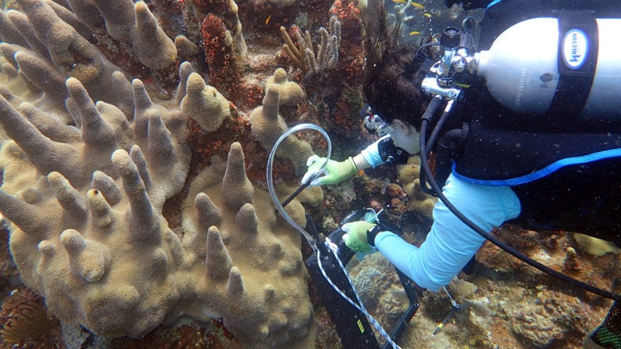 A DISCO in the Ocean – Woods Hole Oceanographic Institution