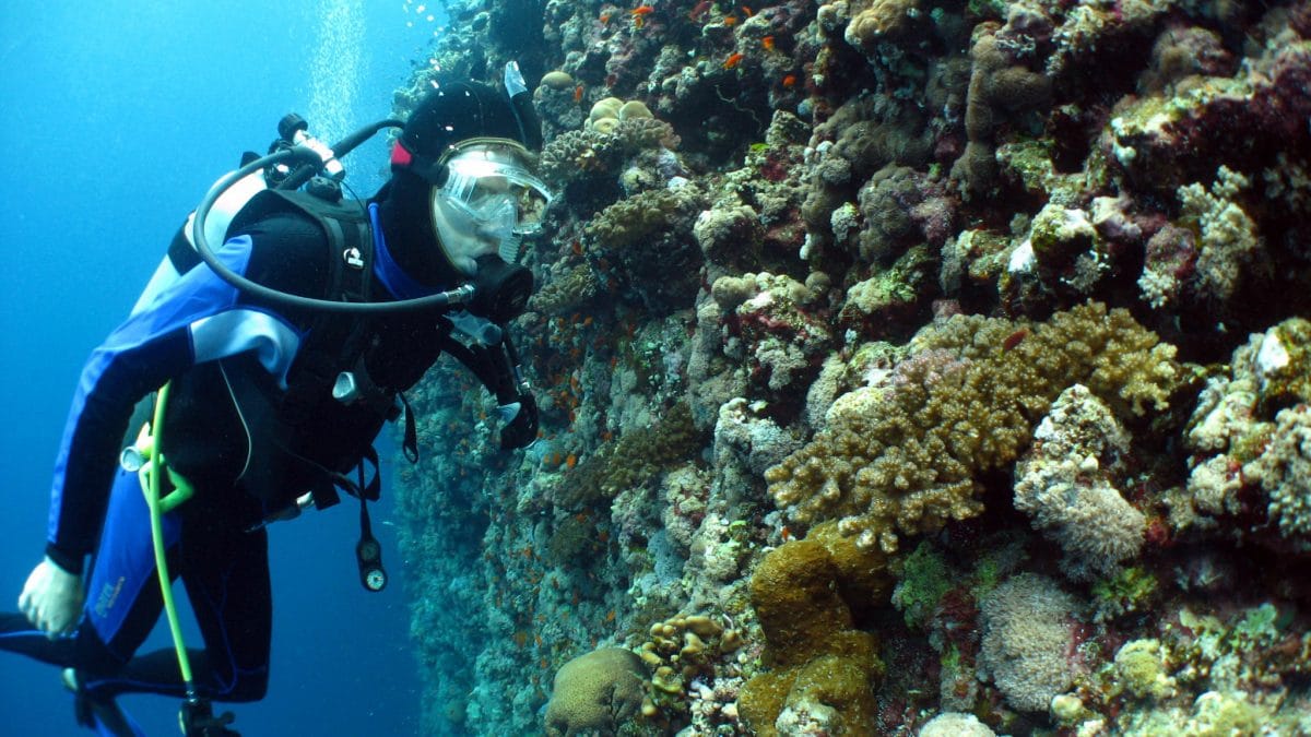 Postdoctoral Programs Woods Hole Oceanographic Institution