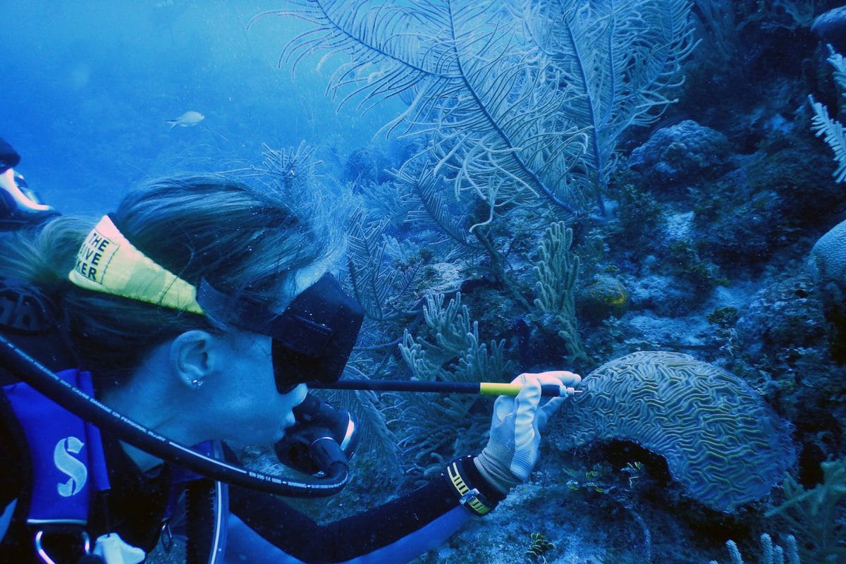 Educate - Woods Hole Oceanographic Institution