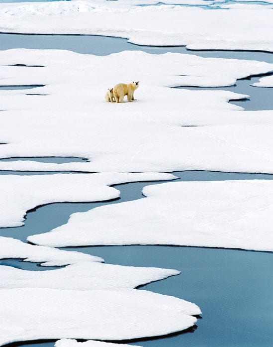 Polar Life - Woods Hole Oceanographic Institution