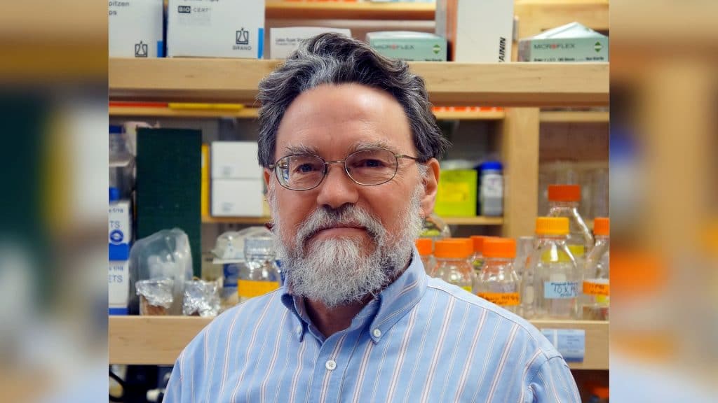 Microplastics in the Ocean – Separating Fact from Fiction – Woods Hole ...