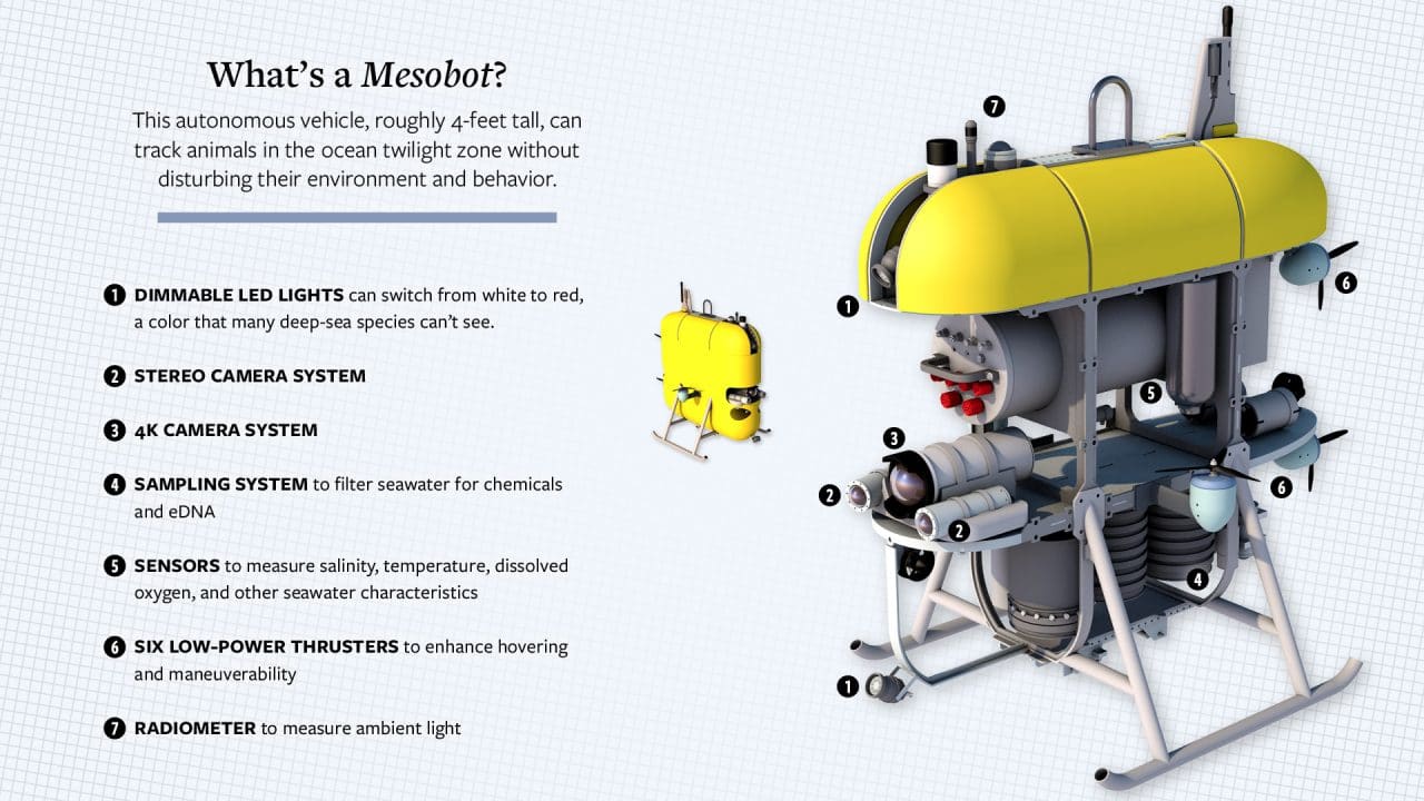 Mesobot, Follow that Jellyfish! - Woods Hole Oceanographic Institution