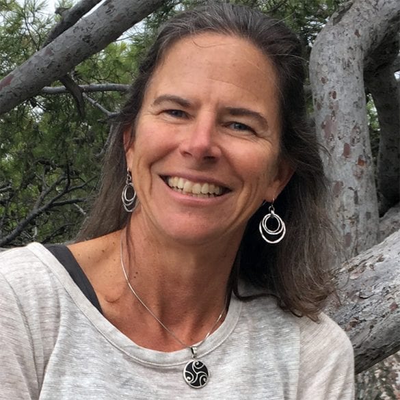 NASA Makes Dual Investment in Ocean Worlds Research at the Woods Hole ...