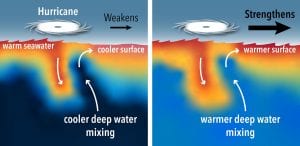What happens in the ocean as a hurricane passes over? – Woods Hole ...