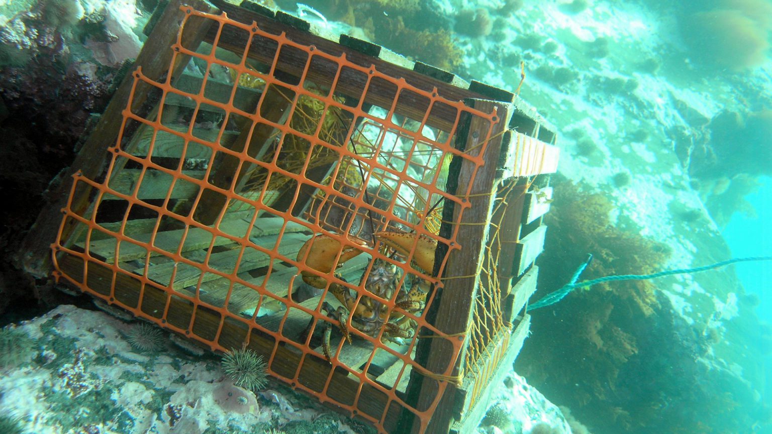 The Ocean’s Moveable Feast – Woods Hole Oceanographic Institution