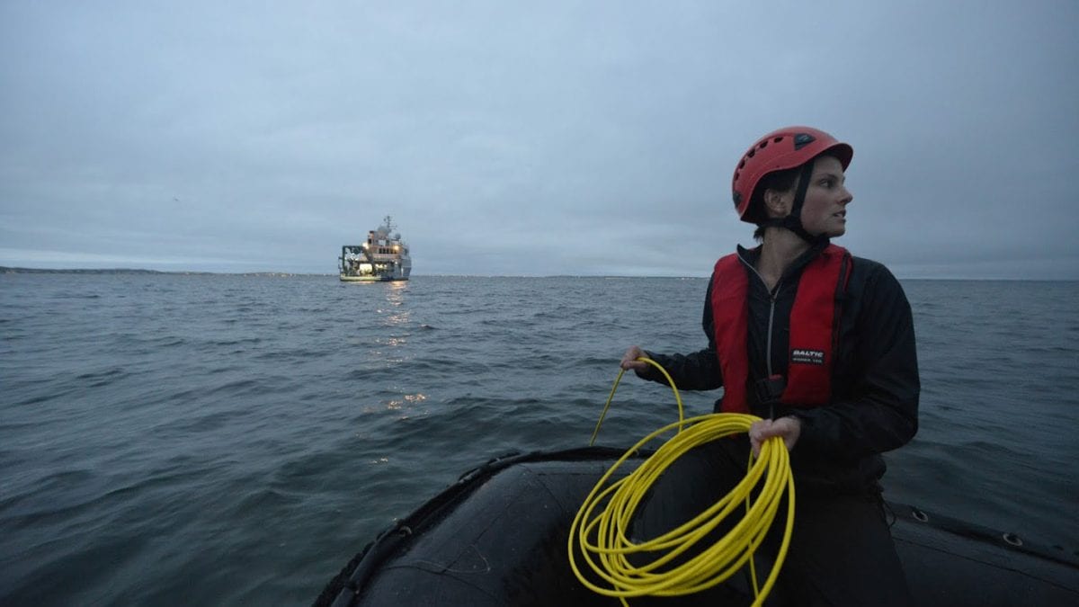 Opening our eyes to the deep: Molly Curran - Woods Hole Oceanographic ...