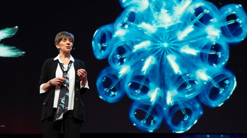 Seven ocean explorers you should know about - Woods Hole Oceanographic ...