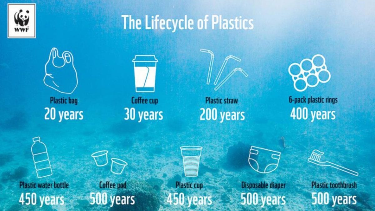 The many lifetimes of plastics – Woods Hole Oceanographic Institution