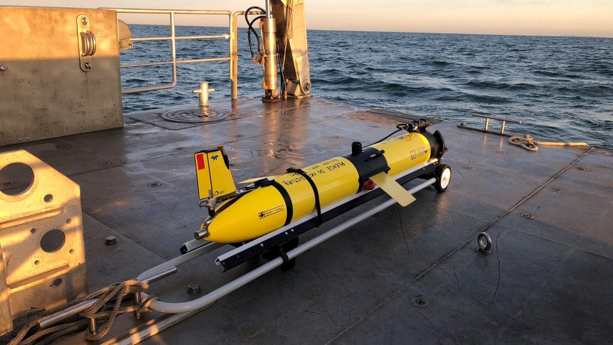 WHOI and NOAA team up to protect endangered whales