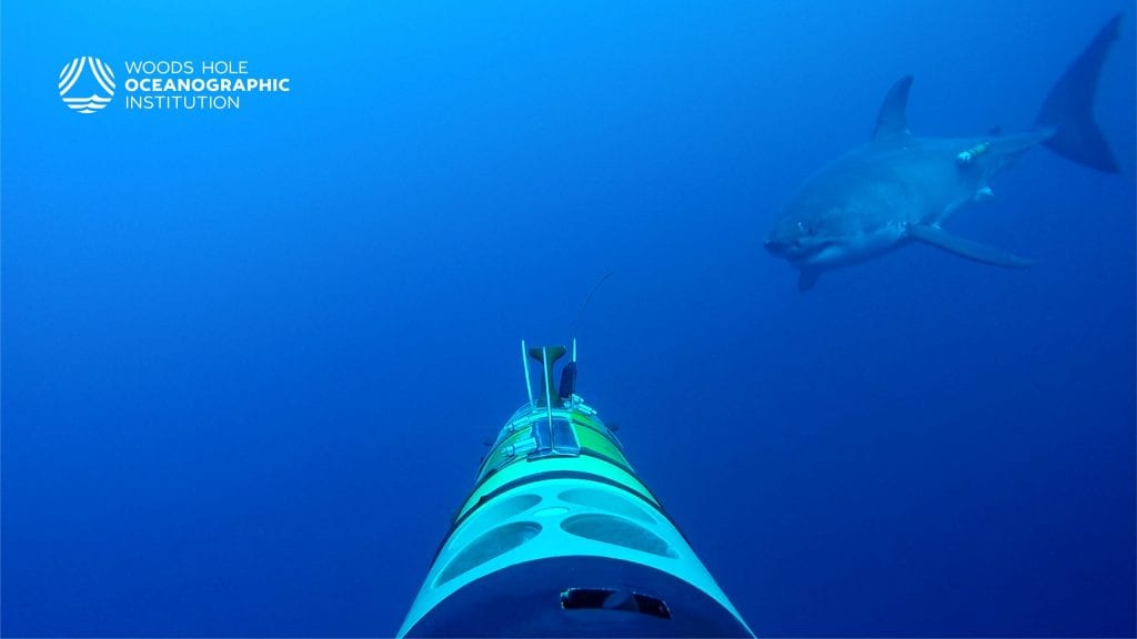 Download WHOI’s free ocean-themed virtual backgrounds - Woods Hole ...