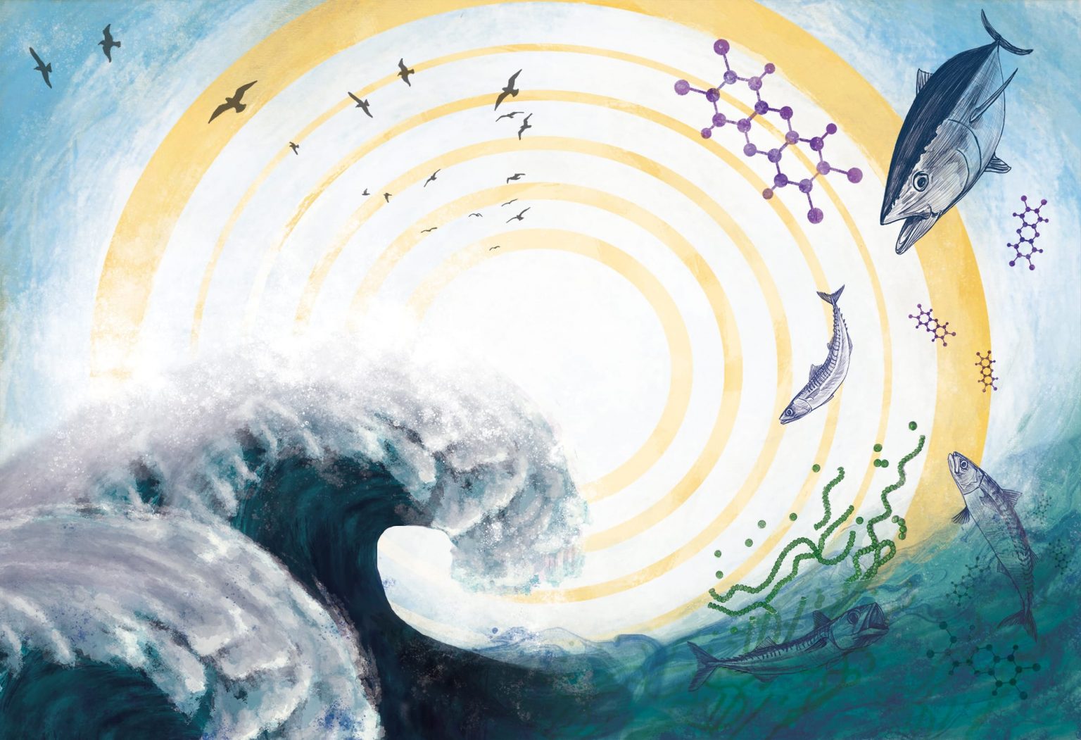 A Sea of Hazards – Woods Hole Oceanographic Institution