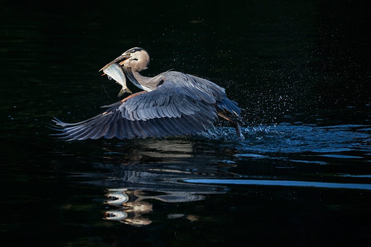 Our Ocean in Focus Photography Contest - Woods Hole Oceanographic ...