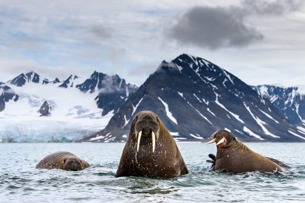 Our Ocean in Focus Photography Contest - Woods Hole Oceanographic ...