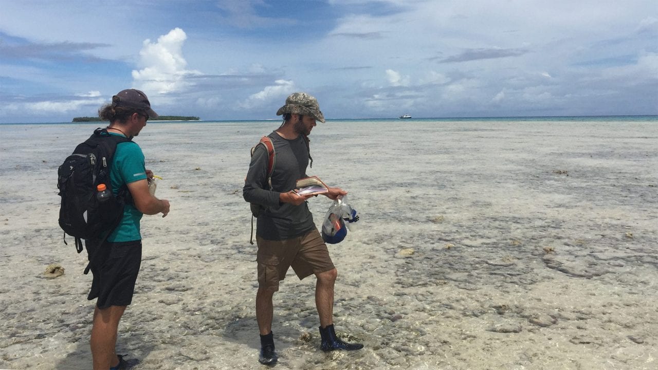 Study reconstructs ancient storms to predict changes in world’s cyclone ...