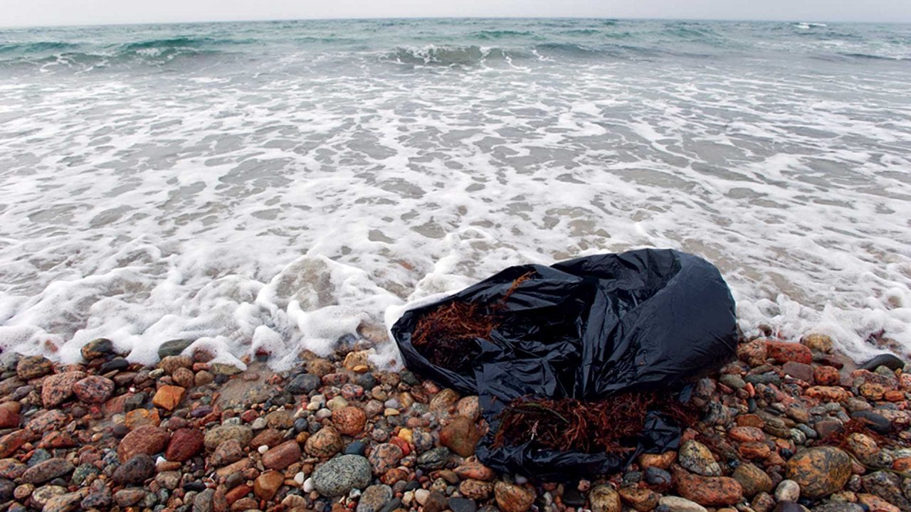 New study takes comprehensive look at marine pollution