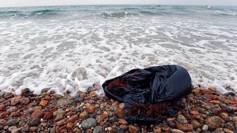 New study takes comprehensive look at marine pollution