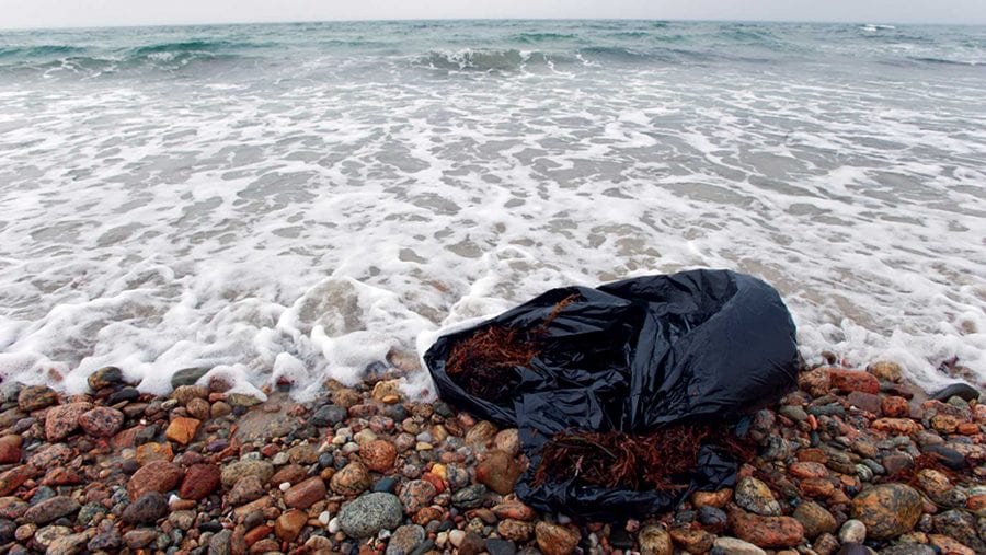 New study takes comprehensive look at marine pollution