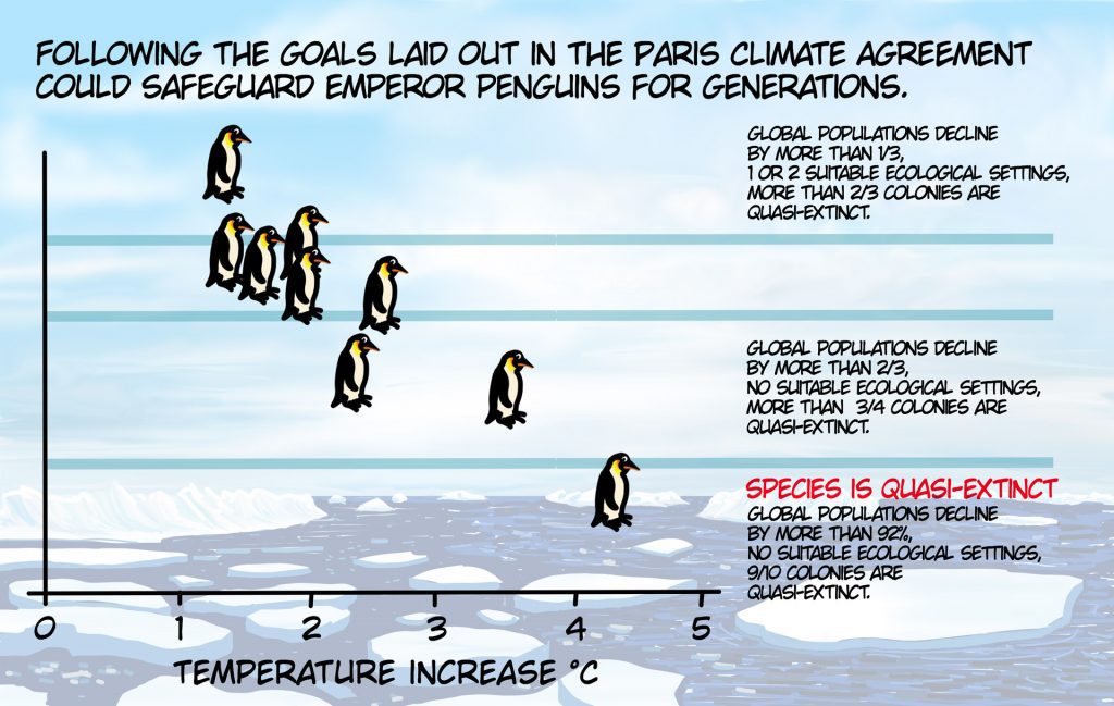 Penguins: Canaries in the mine of climate warning. – Woods Hole ...