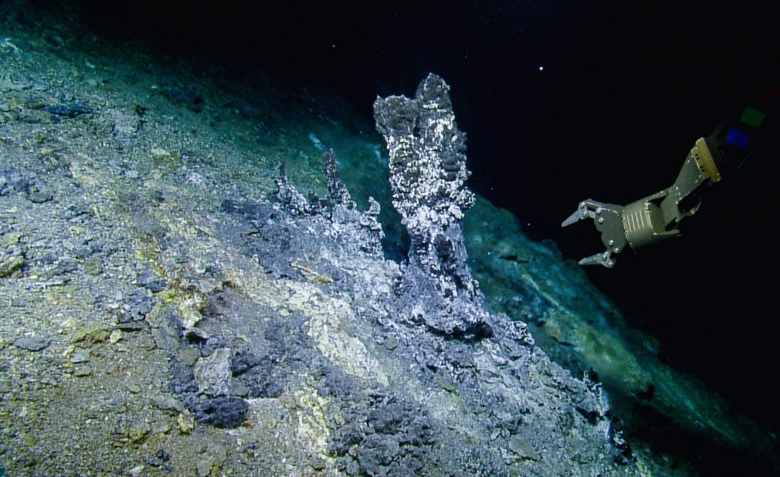 Study Examines the Role of Deep-Sea Microbial Predators at Hydrothermal ...