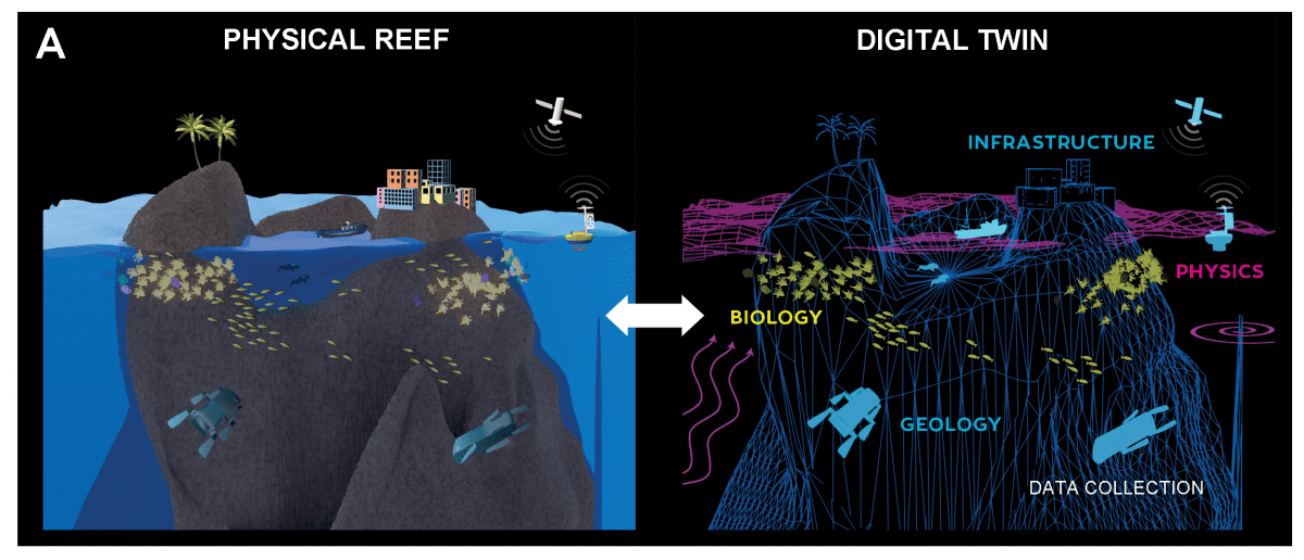 “Digital Reefs” awarded $5 million – Woods Hole Oceanographic Institution