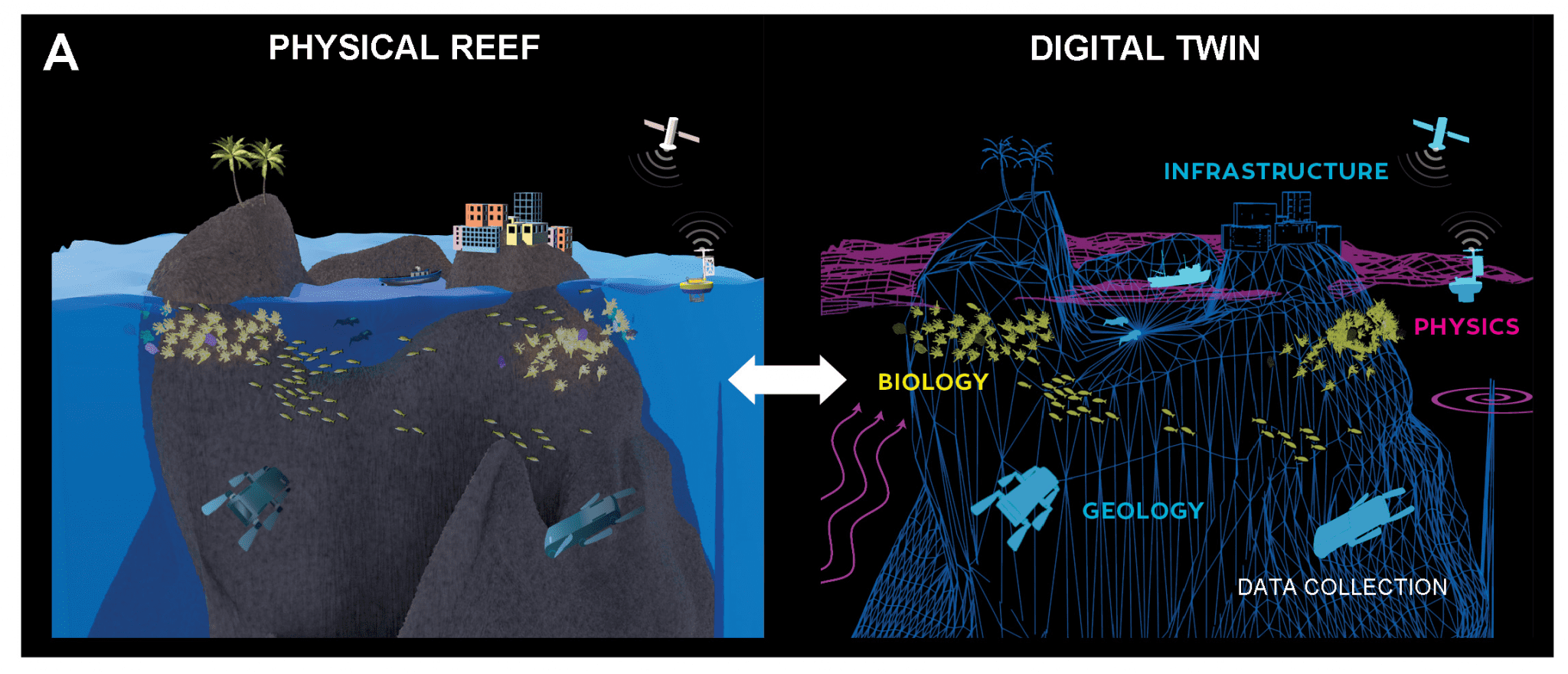 “Digital Reefs” awarded $5 million – Woods Hole Oceanographic Institution