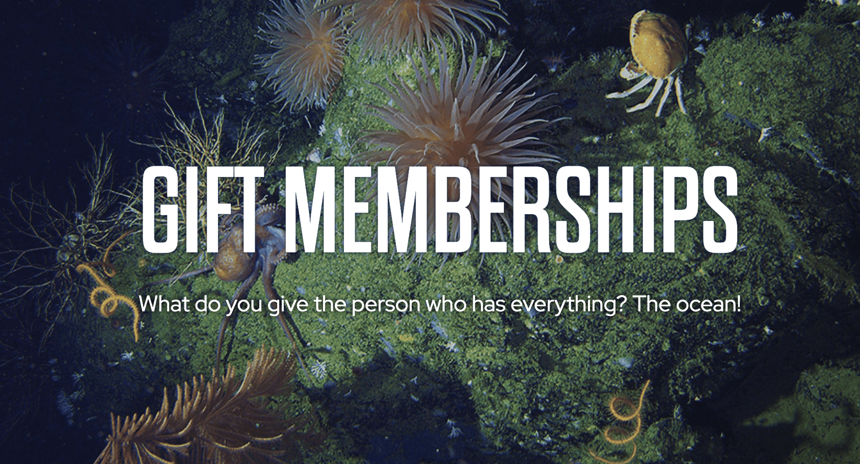 Gift Memberships - Woods Hole Oceanographic Institution