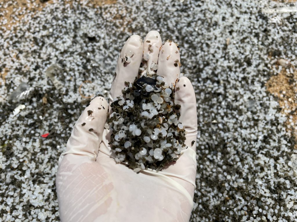 Study outlines challenges to ongoing clean-up of burnt and unburnt ...