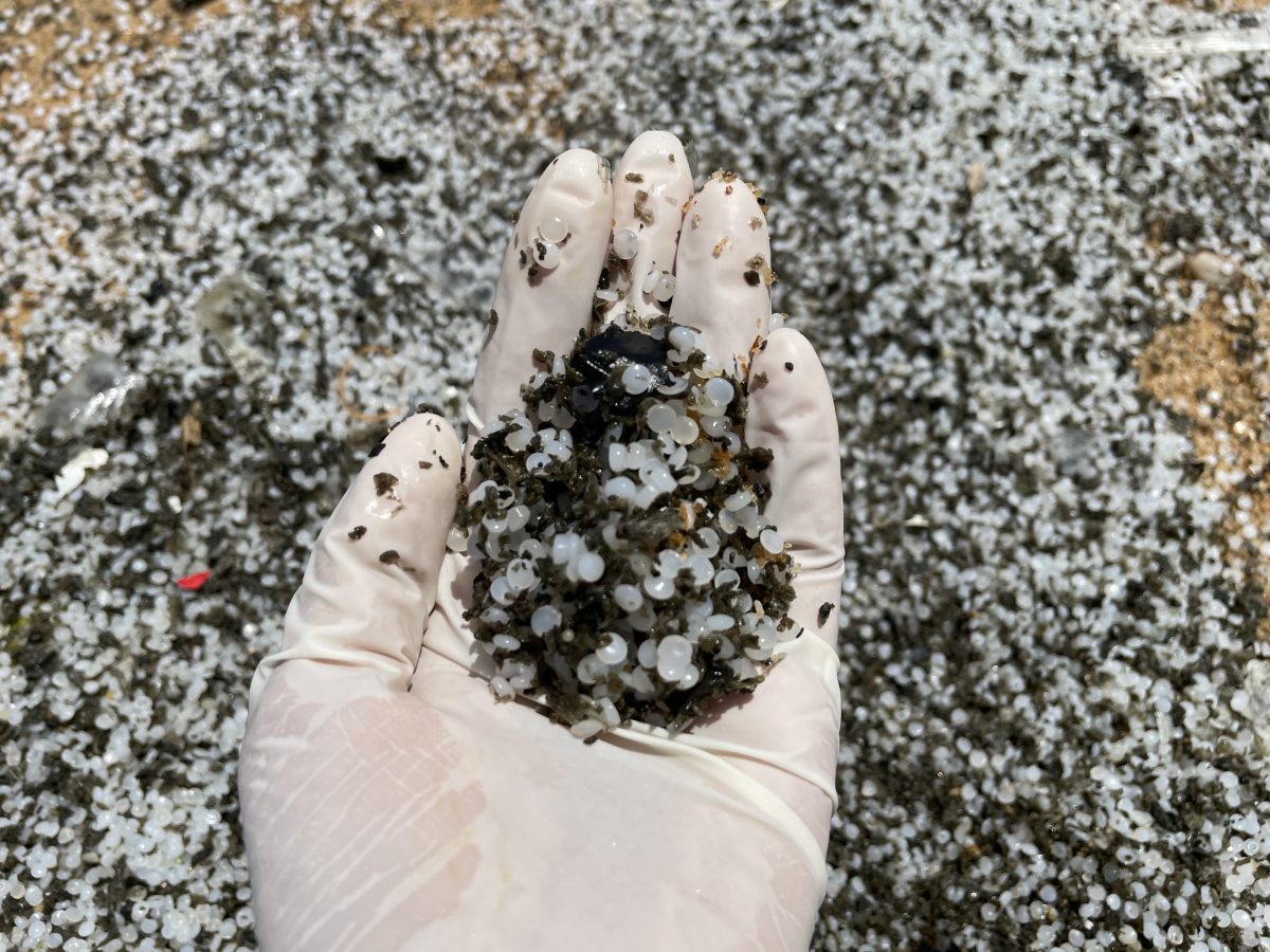 Study outlines challenges to ongoing clean-up of burnt and unburnt ...