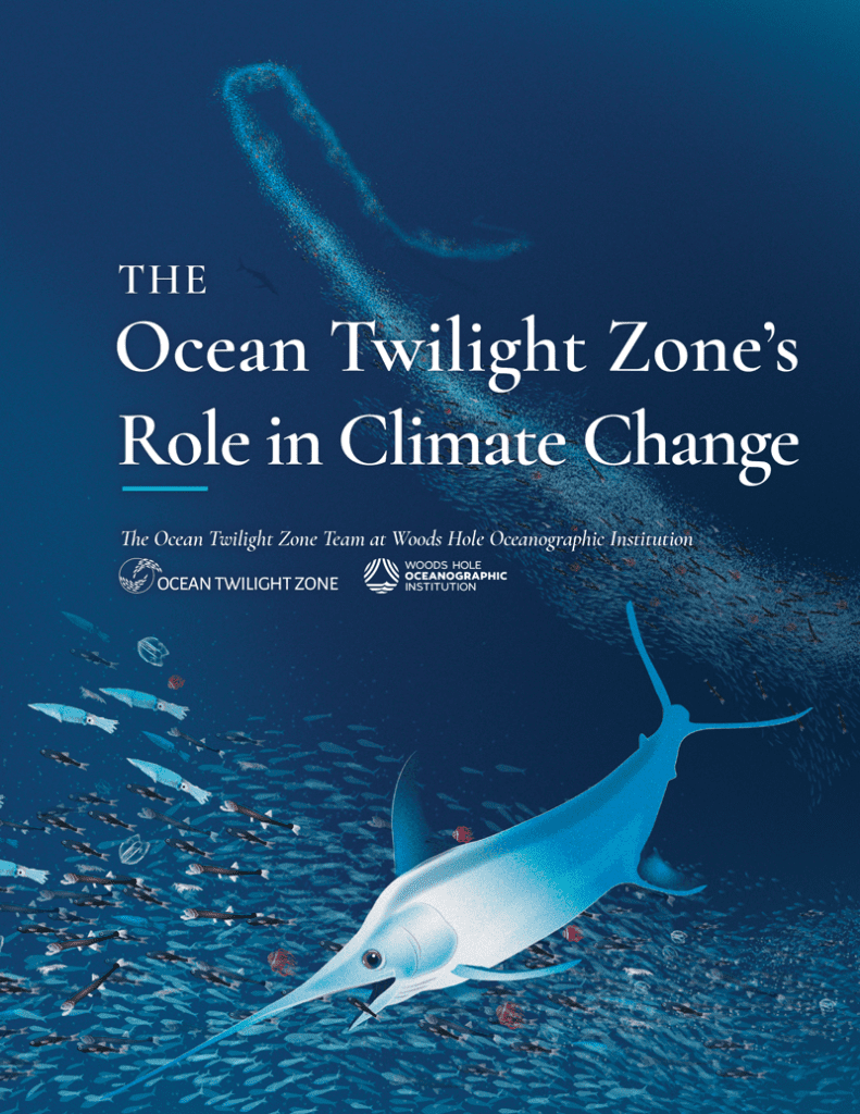 The ocean twilight zone’s role in climate change – Woods Hole ...